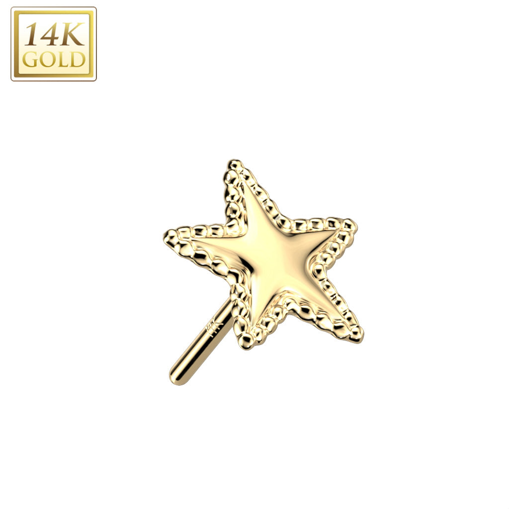 14k Gold Star Flat Back – Pierced By Ash